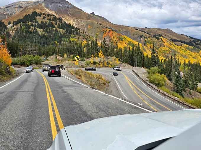 Sweeping curves through fall foliage create the kind of driving experience that makes you forget about podcasts entirely.