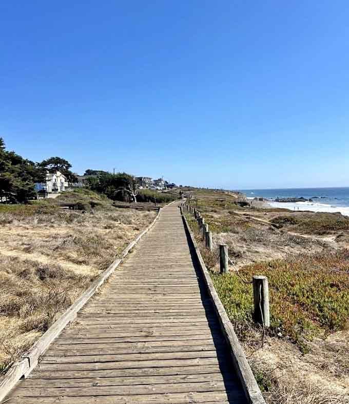 Blue skies and wooden planks create the kind of scene that makes you forget your phone exists, almost.