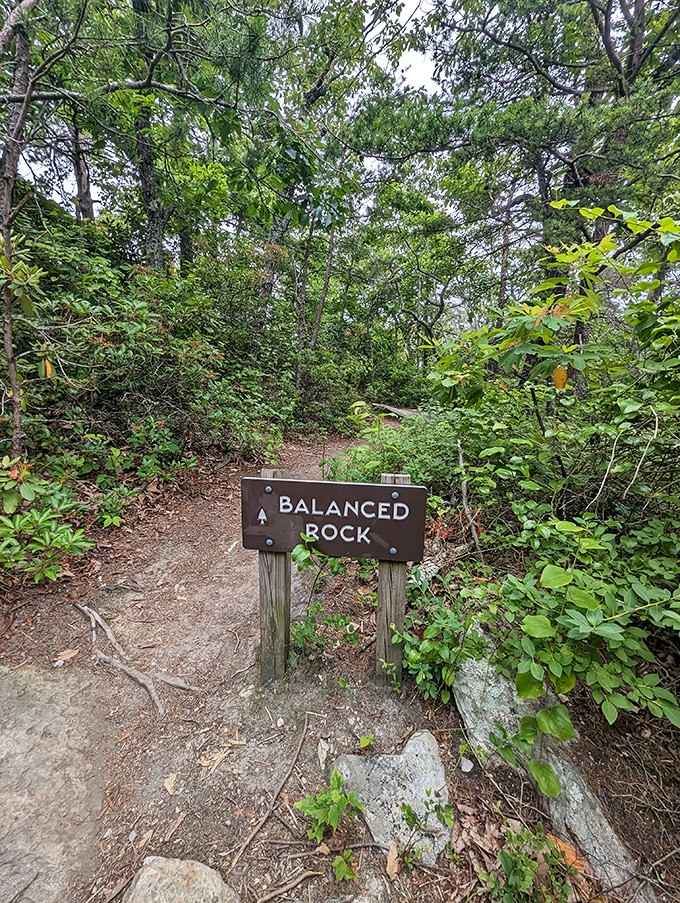 Balanced Rock lives up to its name, making you wonder about physics, geology, and whether you should stand underneath it.