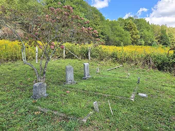 Even the family cemetery sits on prime real estate with views most living folks would envy.