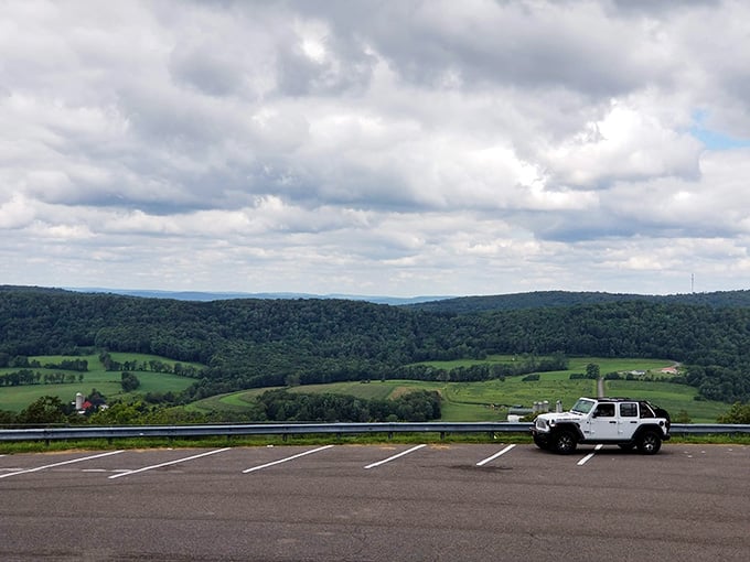 The 219 Overlook Rest Area offers front-row seats to a show that's been running for millions of years.