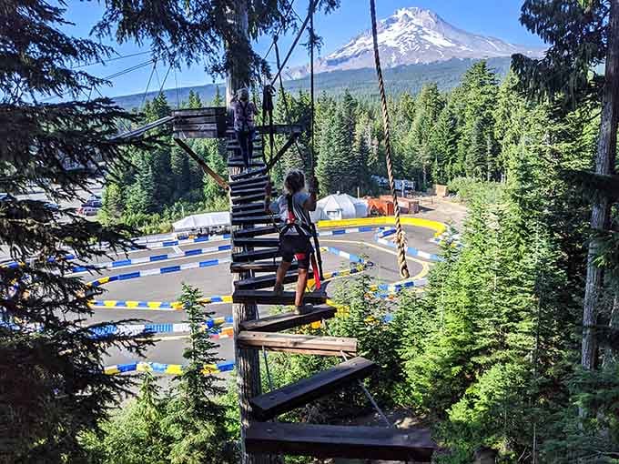 That aerial bridge offers views worth the wobbly walk, assuming your knees are still speaking to you.