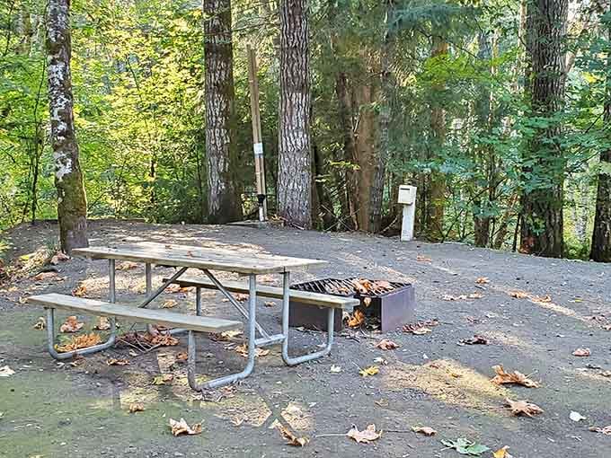 Each site includes a picnic table and fire ring, the essential ingredients for perfecting your outdoor cooking skills nightly.