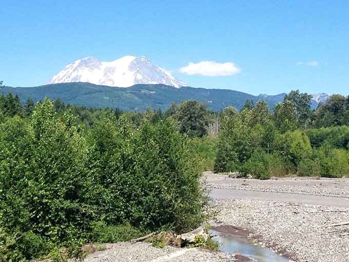 Mount Rainier dominates the horizon like nature's own cathedral, making every photograph attempt feel slightly inadequate somehow.