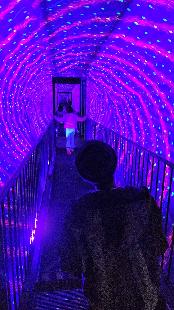 The Vortex Tunnel where standing still feels like spinning, making you walk like a toddler in front of strangers.