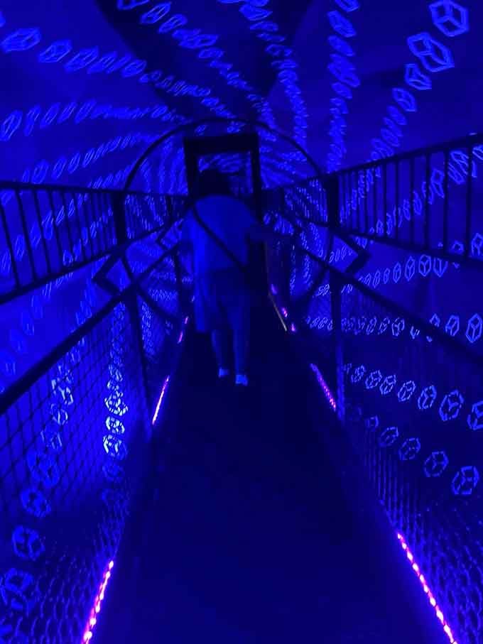 The Vortex Tunnel glows with infinite blue patterns that'll have you gripping the handrails on solid ground.