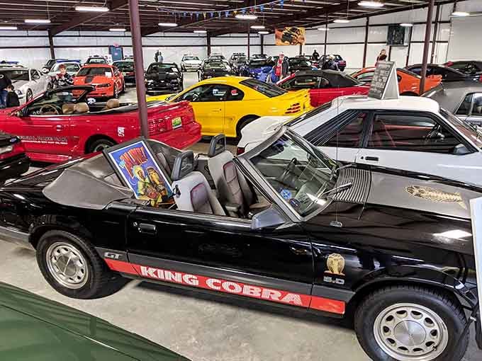 The King Cobra edition: because sometimes regular awesome just isn't quite awesome enough for you.