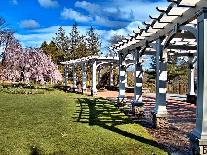 White pergolas create an elegant walkway that makes a simple stroll feel like a scene from a period drama.