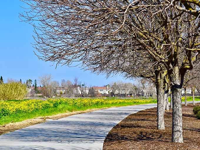 Tree-lined walking paths that make you feel like you're strolling through a postcard someone mailed from heaven.