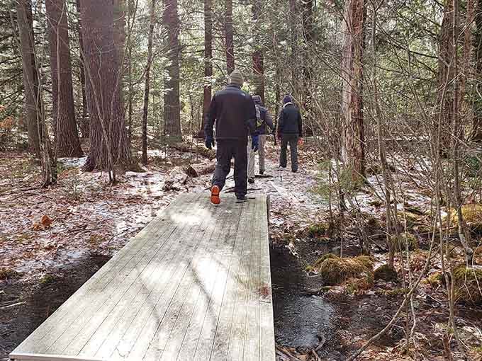 Nature trails wind through conservation areas where the only admission fee is your willingness to actually walk somewhere.