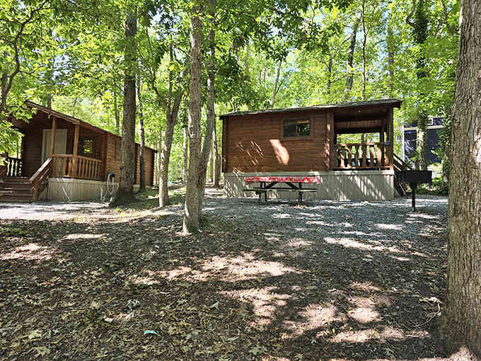 Cabins nestled in the woods for folks who want nature but also appreciate having actual walls and a roof.