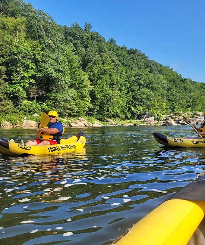 Yellow kayaks dot the Yough like floating sunshine, carrying paddlers through one of Pennsylvania's most scenic river corridors.