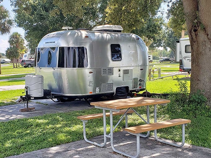 That gleaming Airstream isn't just camping, it's a lifestyle statement with a picnic table and shade tree included.
