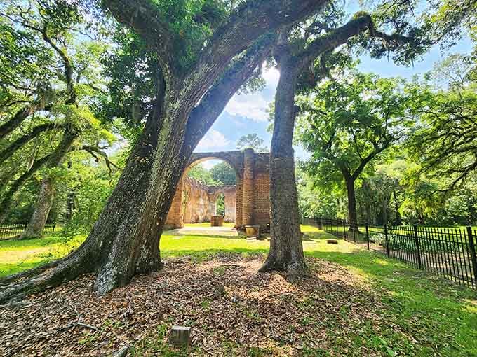 Live oaks frame the ruins like nature's own picture frame, centuries in the making.
