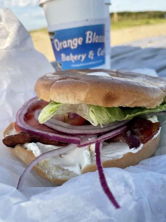 Crispy bacon peeking out from a fresh bagel with all the fixings, this is vacation eating at its finest.