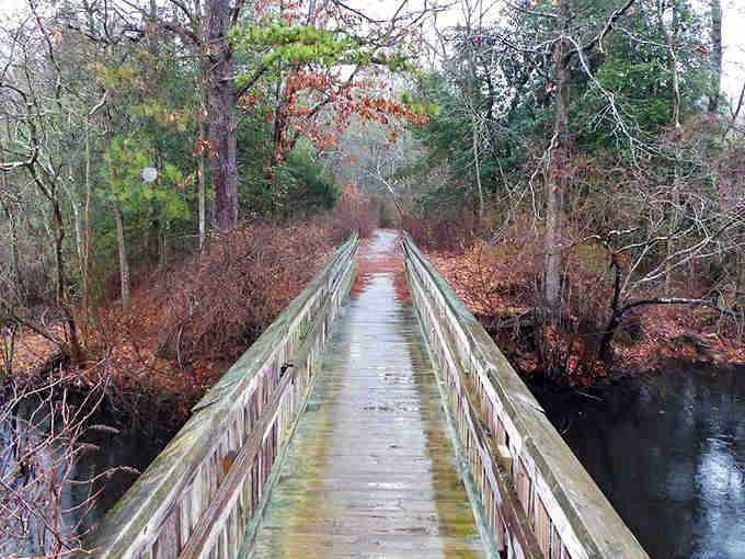 Wooden bridges over dark water create those postcard moments that make your camera roll actually worth scrolling through.