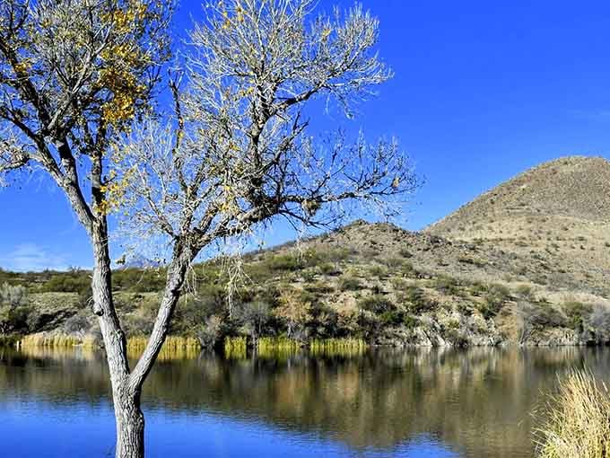 Patagonia Lake reflects the sky like nature's mirror, offering water recreation in Arizona's surprisingly lush high country.