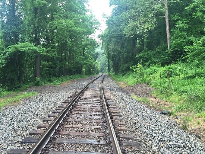 Active railroad tracks remind you that history isn't just preserved here, it's still rolling through daily.