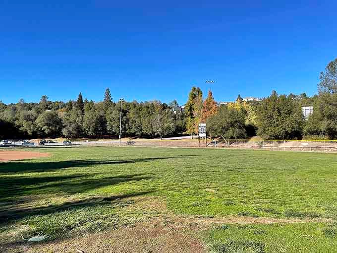 Lions Park offers green space where kids can actually be kids, not just screen-addicted zombies in training.