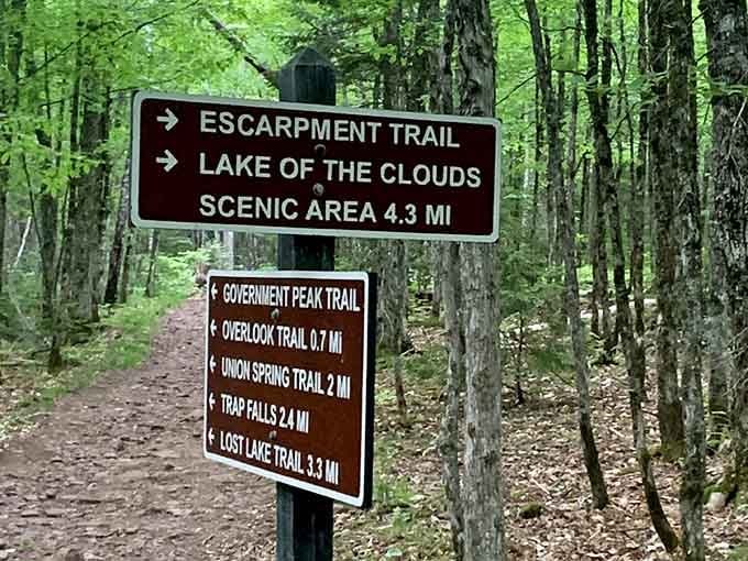 Trail signs pointing toward adventures that'll have you planning your return visit before you've even left.