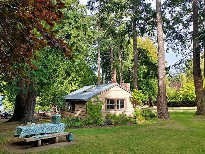 Chetzemoka Park offers shade, grass, and the kind of peace your blood pressure has been begging for.