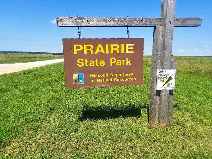 The park sign announces your arrival to a place where 10,000 years ago is basically yesterday afternoon.