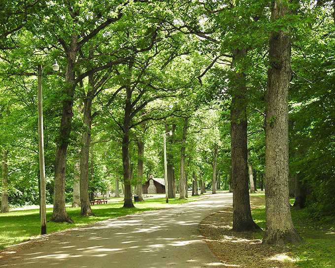 Tree-canopied paths in the park where the only notifications you'll get are from birds and the occasional friendly squirrel committee.