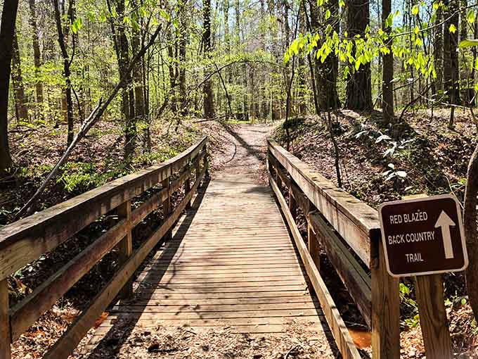 This wooden bridge marks the beginning of your backcountry adventure into Georgia's most unexpected landscape.