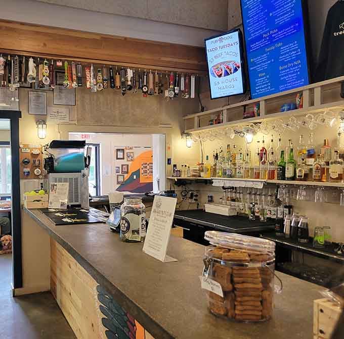 The bar showcases Colorado craft beers on tap, because supporting local breweries is practically a state requirement.