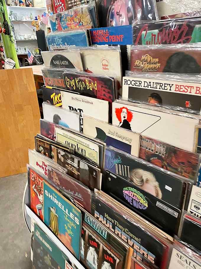 Vinyl records waiting to spin again, offering Roger Daltrey and friends a second chance at your turntable's affection.