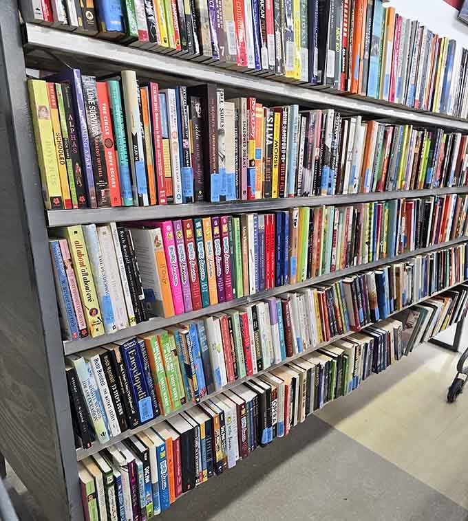 Books stacked floor to ceiling &ndash; a reader's paradise where every spine holds a new adventure.
