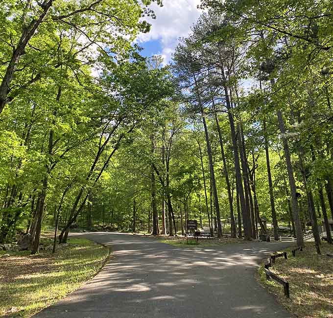 The journey to underground magic starts with a peaceful drive through Alabama's green canopy of trees.