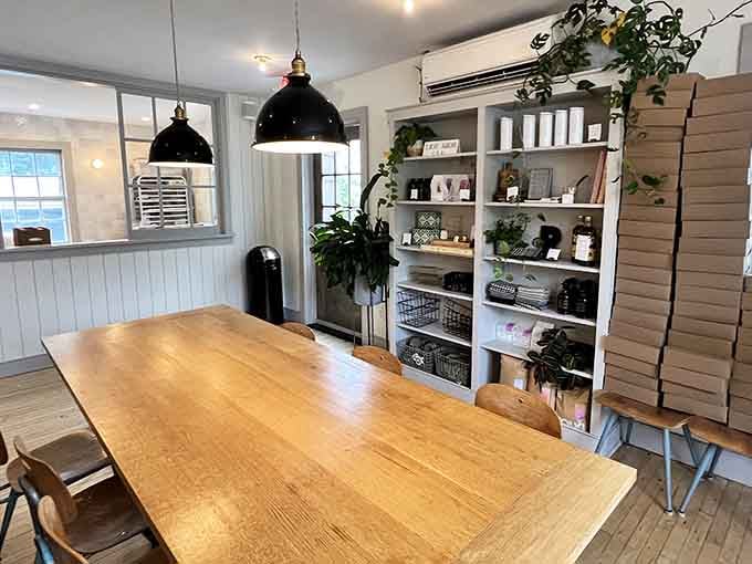 Natural light, wooden tables, and pendant lamps create the kind of space where lingering over donuts feels absolutely mandatory.