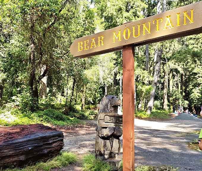 Bear Mountain marks the summit where passengers catch their breath and views that make the climb absolutely worthwhile.