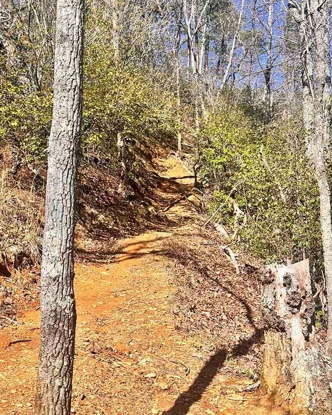 This sunny section of trail shows off the red clay path that winds between trees toward more rocky surprises ahead.
