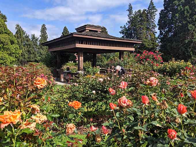This gazebo offers the perfect spot to sit and contemplate why you don't visit gardens more often.