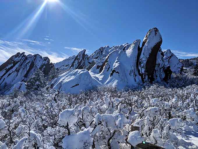 Snow-covered formations create a stark, beautiful contrast that proves this park shines in every season imaginable.