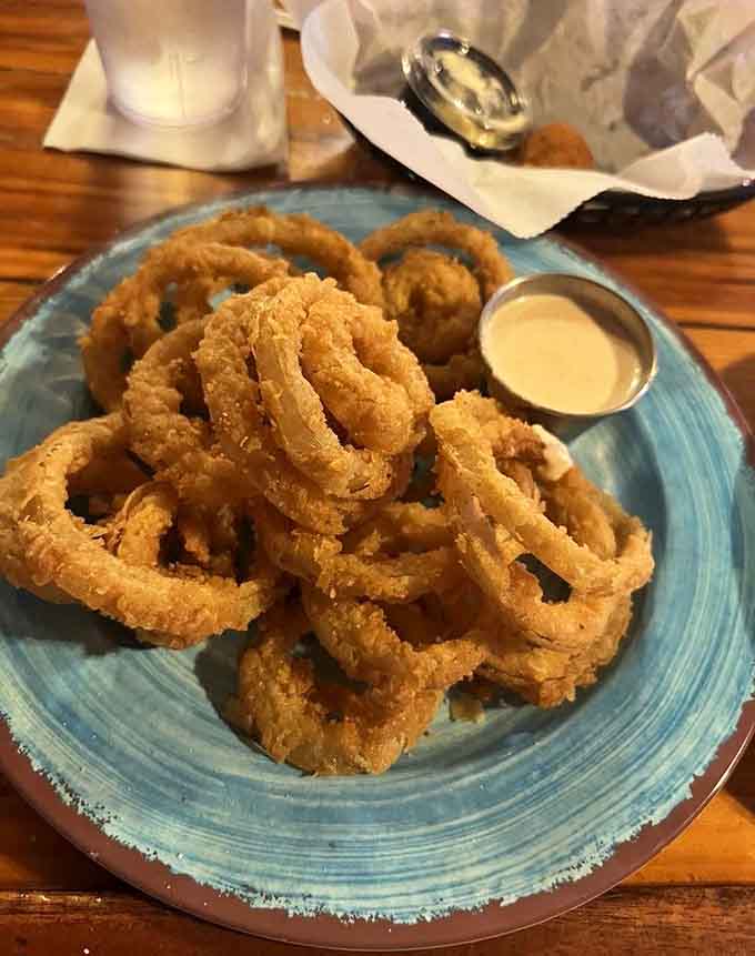 Golden onion rings piled high with a side of dipping sauce, because life's too short to skip the appetizers.