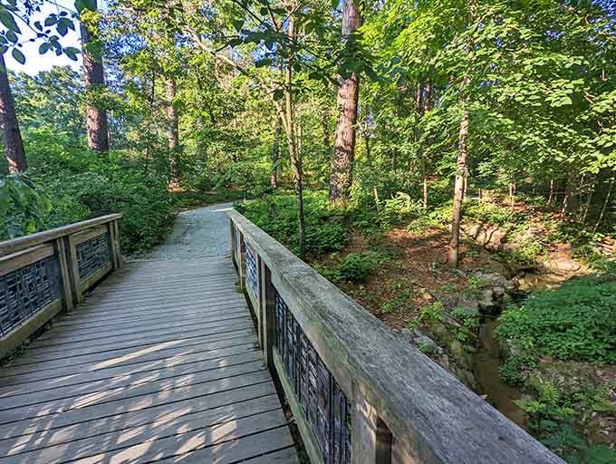 Wooden bridges over woodland streams prove that sometimes the journey really is better than the destination.