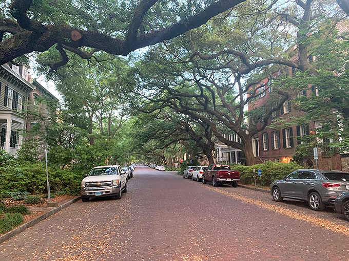 Oak branches arch overhead like nature's cathedral, creating shade and atmosphere that air conditioning simply cannot replicate.