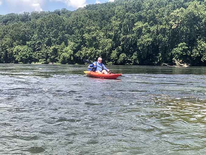 Kayaking here means trading your car's air conditioning for the river's natural cooling system, a surprisingly fair trade.