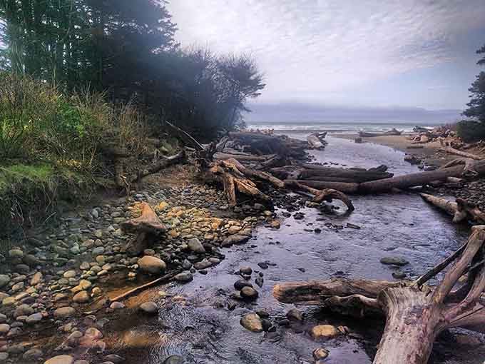 Freshwater streams cut through the sand, creating miniature canyons on their journey to meet the Pacific.