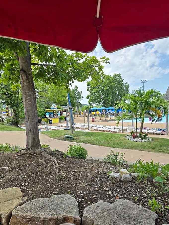 Palm trees in Missouri might seem ambitious, but this tropical oasis makes it work better than a vacation postcard ever could.