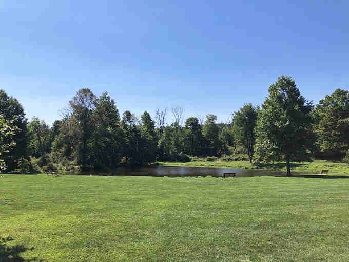 Open meadows offering breathing room between the dense forest sections, nature's way of giving you a breather.