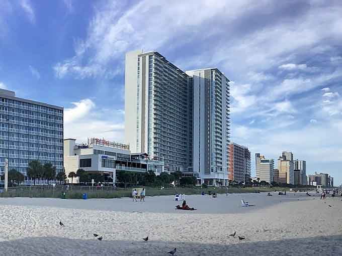 Myrtle Beach's shoreline stretches endlessly, offering that perfect blend of relaxation and seaside fun for every generation.