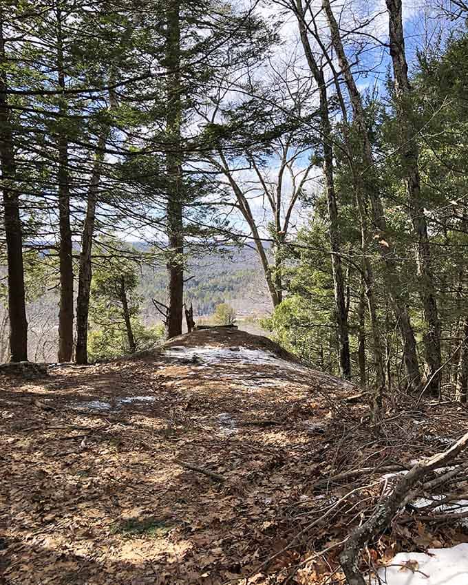 Forest trails winding through hemlock groves: where the journey becomes just as rewarding as the destination itself.