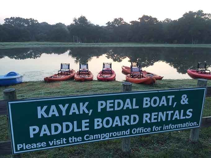 Kayaks lined up and ready to prove that yes, you can still tip over in calm water.