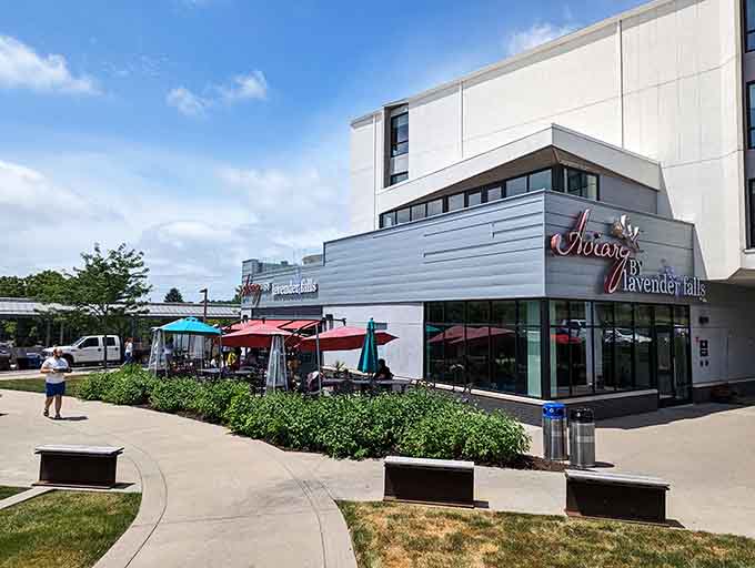 Modern meets nature in a setting that proves good design doesn't need to cost a fortune to enjoy.