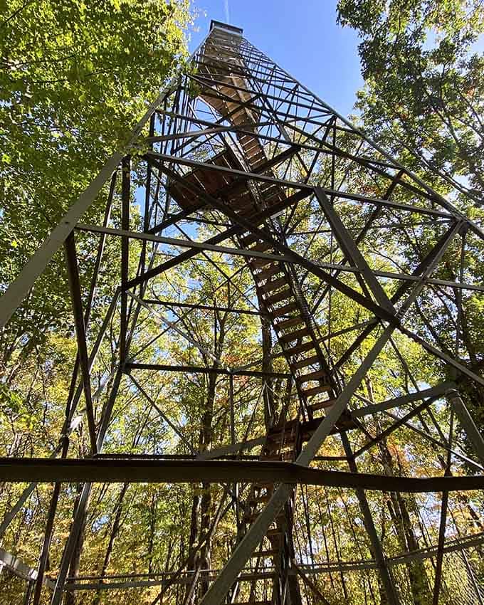 That fire tower stands tall like a lighthouse for landlocked adventurers seeking spectacular views above.