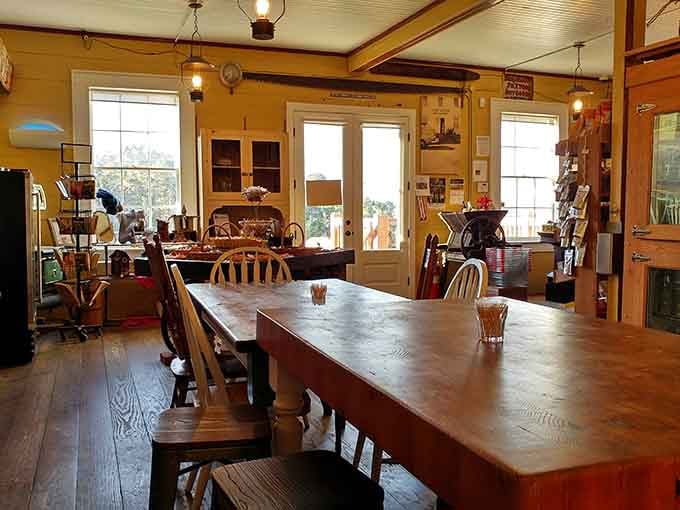 Natural light streams through those windows like the store is posing for its own postcard, which it basically is.